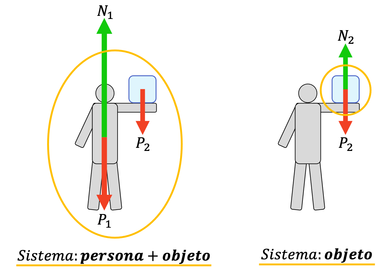 Fuerzas internas y fuerzas externas