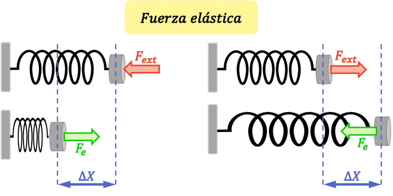Resorte (o muelle): qué es, tipos y aplicaciones