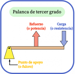 Palanca de tercer grado