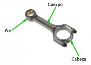 Biela: qué es, partes, tipos y función