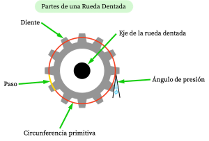 ¿Qué es una Rueda Dentada? (partes y tipos)