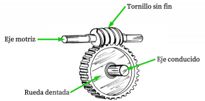 Tornillo sin fin: qué es, partes, características, funcionamiento...
